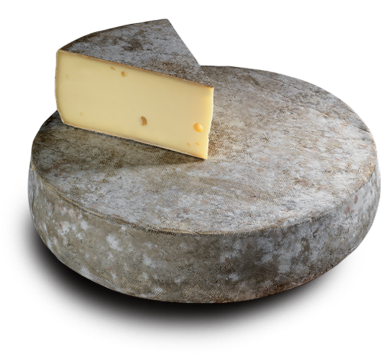 Tomme de montagne - Fruitières Chabert